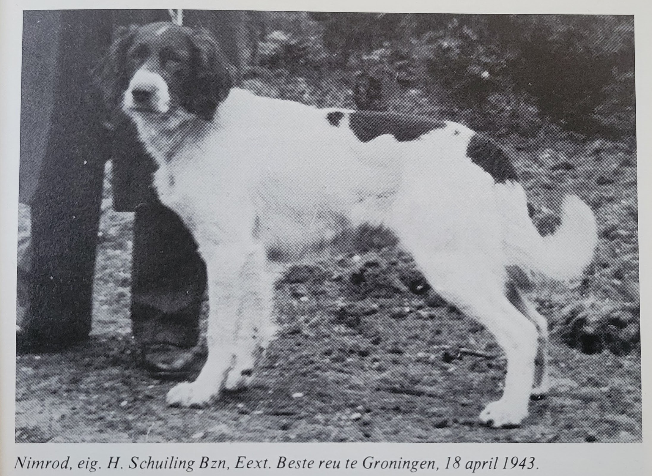 Drent Info – Meliora Drents